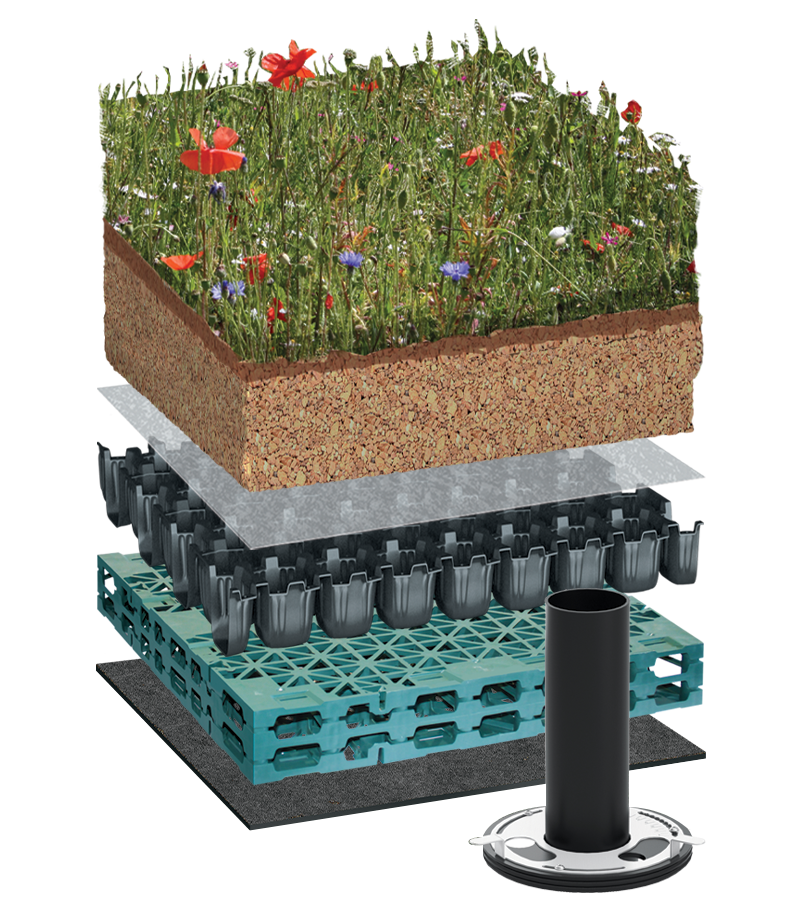 Bauder Flat Roof Specifications and Resources - Bauder