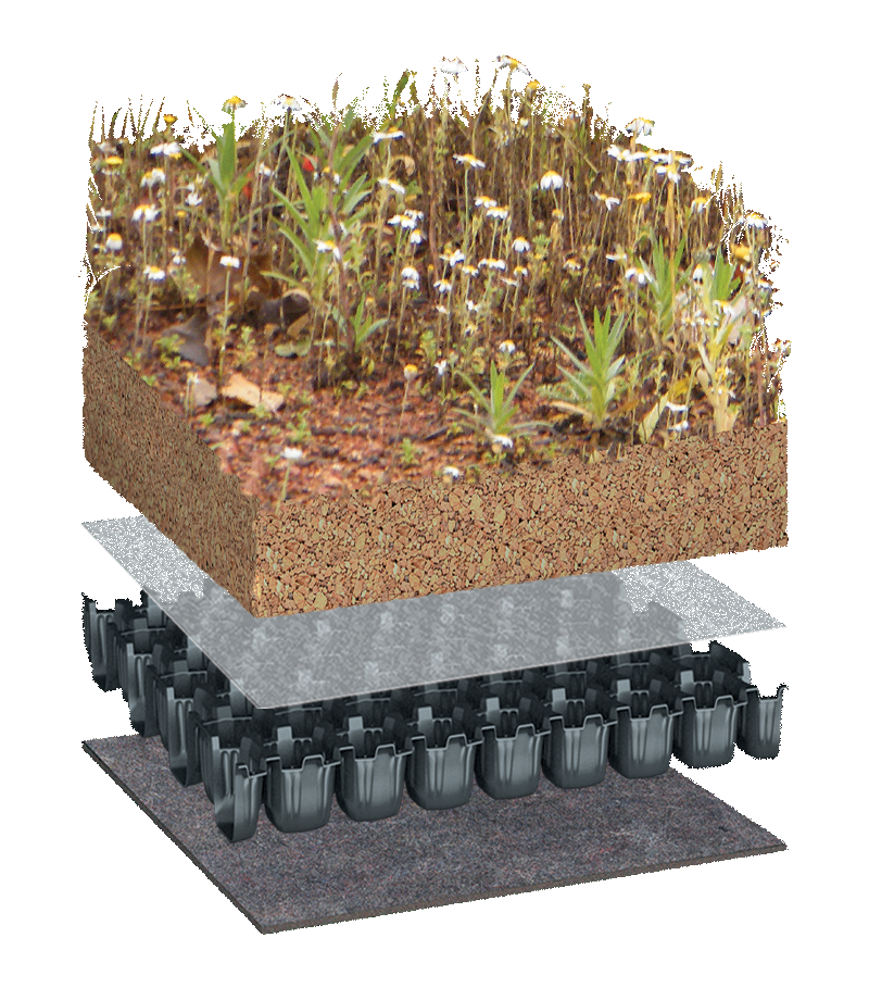 BauderBIODIVERSE Systems - Bauder