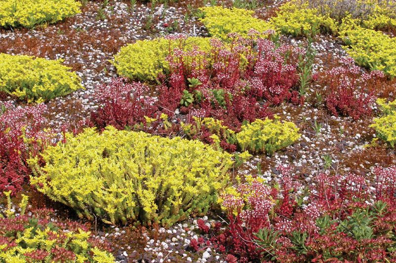 BauderGREEN DSE 20/1 - Bauder