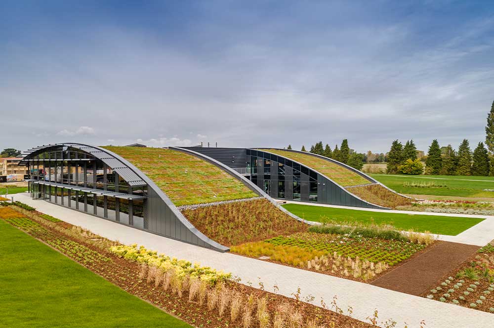 Green Roof Architecture