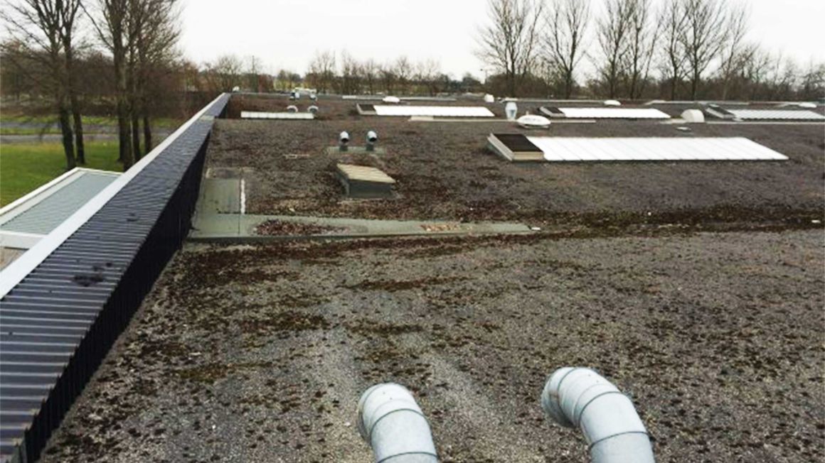 Project: Hotter Shoes, Skelmersdale - Bauder